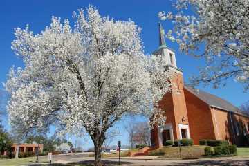 Reformed Theological Seminary